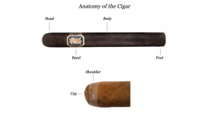 Cigars 101: The Basics | Cigar and Tabac ltd